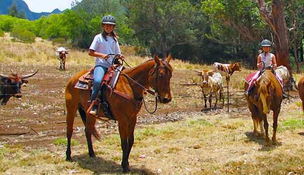Maui Horseback Riding | Mendes Ranch | Lahaina Stables