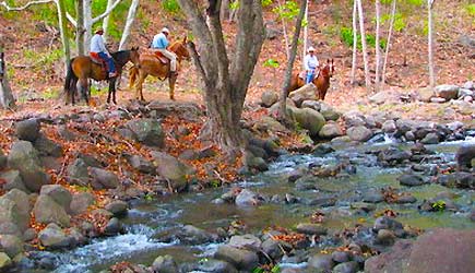 Maui Horseback Riding | Mendes Ranch | Lahaina Stables | Maui Mountain ...
