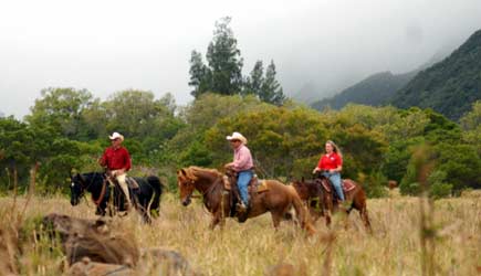 Maui Horseback Riding | Mendes Ranch | Lahaina Stables