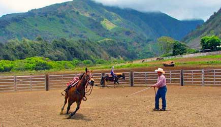 Maui Horseback Riding | Mendes Ranch | Lahaina Stables